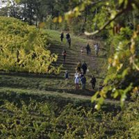 Galerie Photo - Domaine de Rochambeau