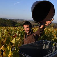 Galerie Photo - Domaine de Rochambeau