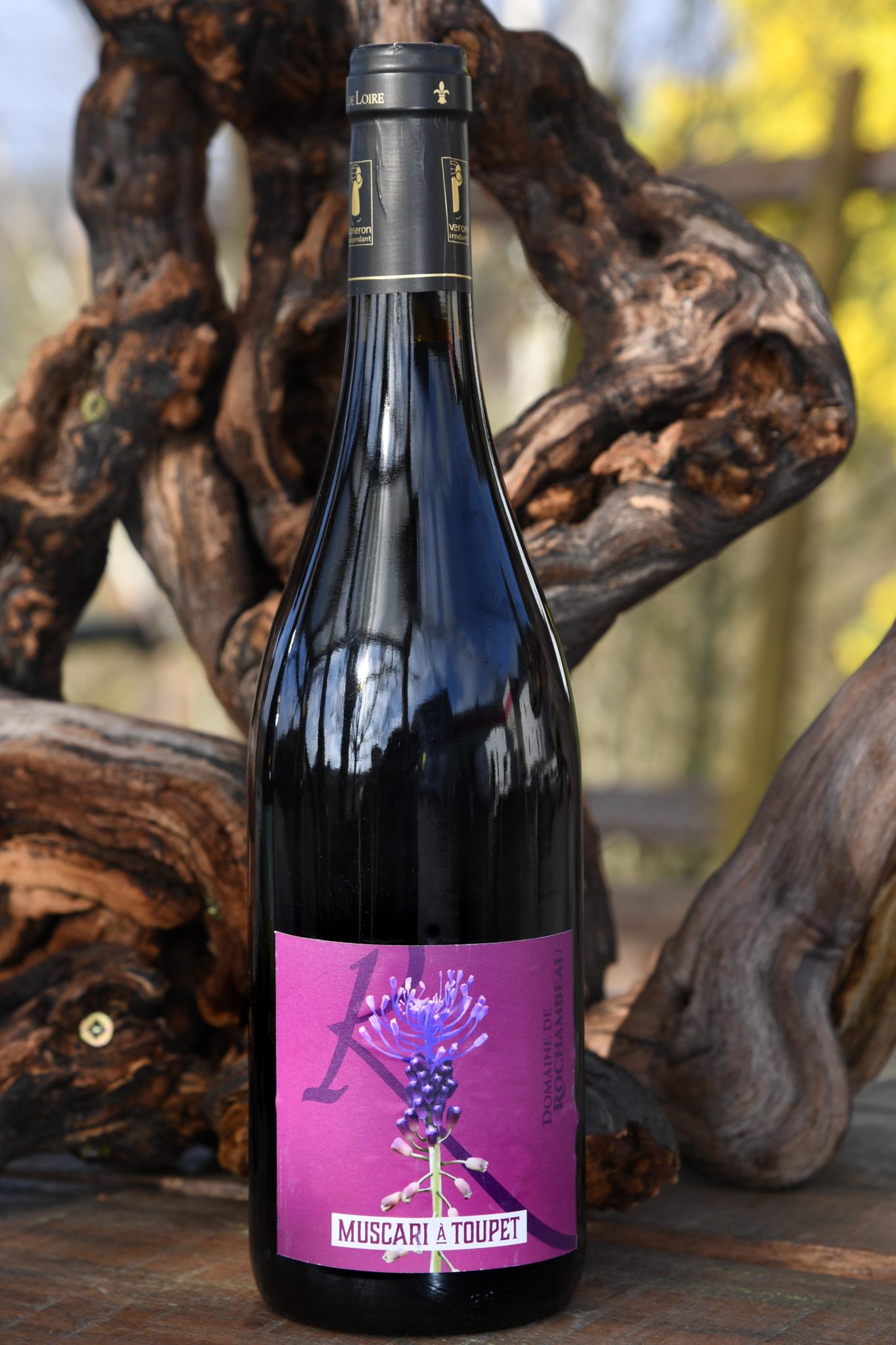 Anjou Rouge - Muscari à Toupet - Domaine de Rochambeau